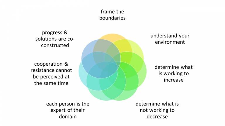 Theory or Framework of Change. Change in complex workplaces