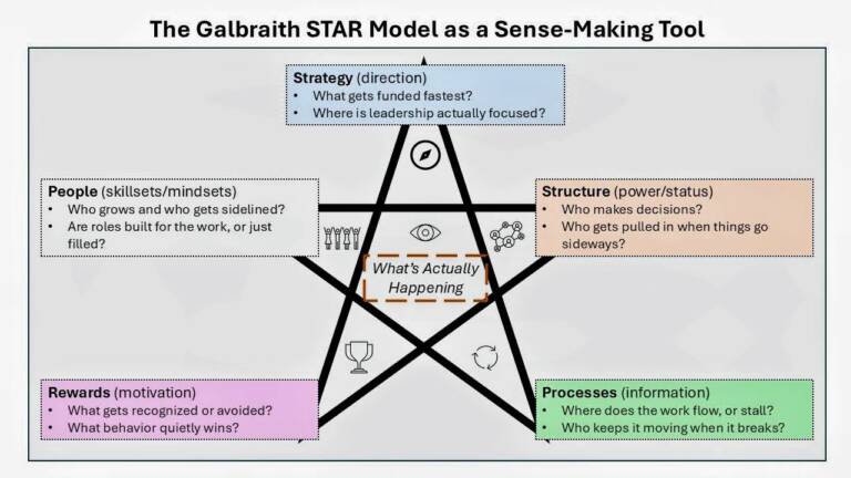 The STAR Model Reframed: OrgDesign with Complexity in Mind
